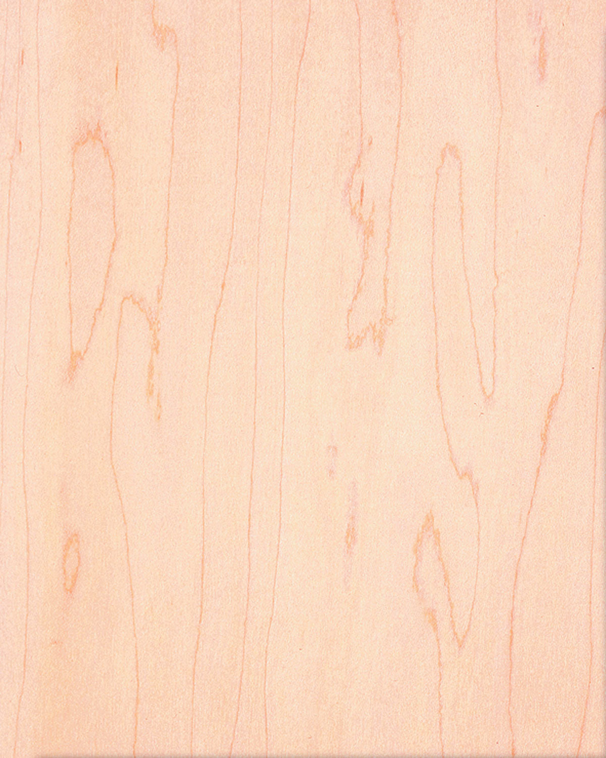 SanFoot Maple, White Rotary Cut | Dundas Matheson