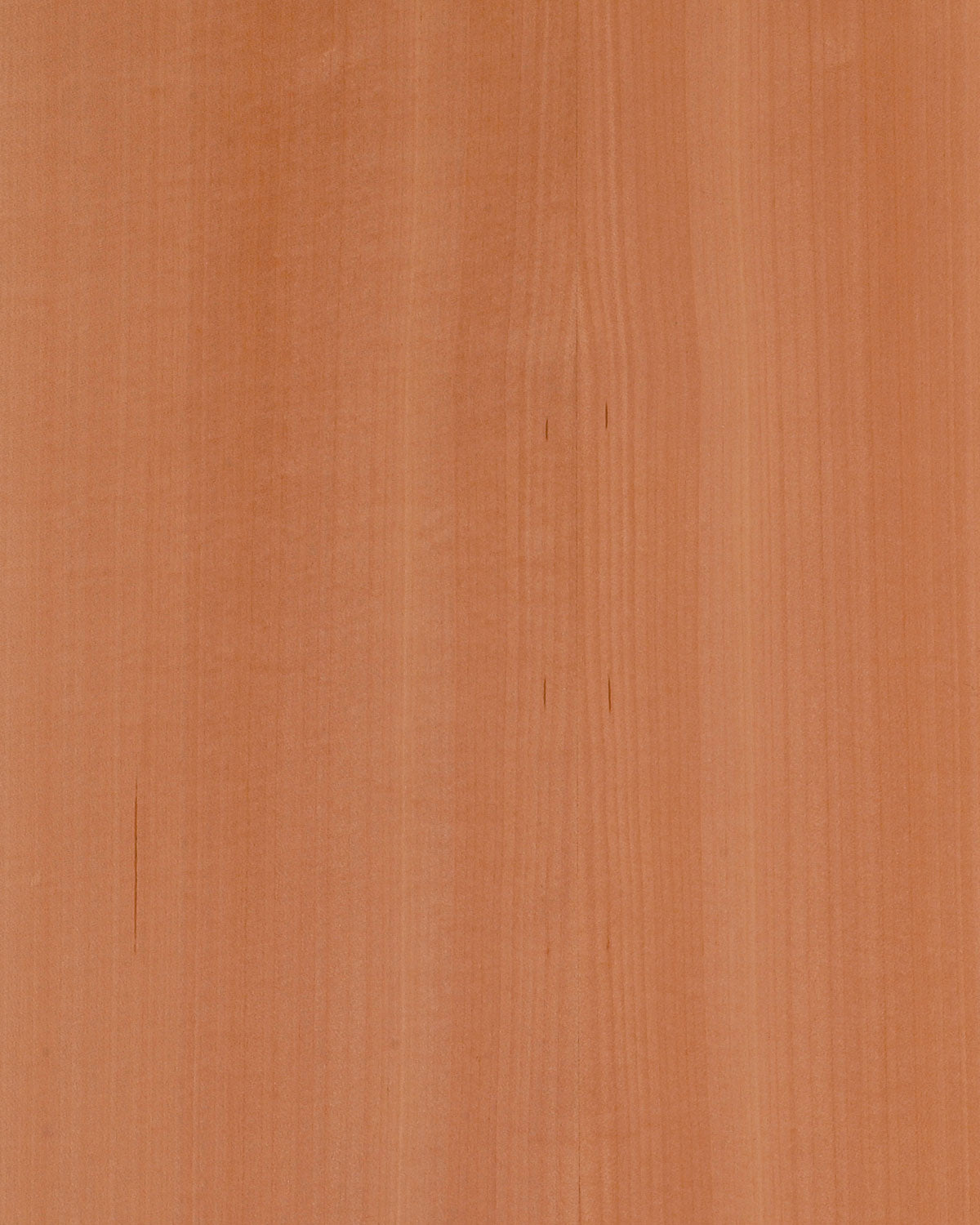 SanFoot Moabi Quarter Cut | Dundas Matheson